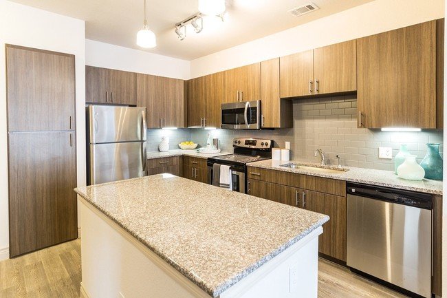Downtown Cosmo Lofts Apartments - 2627 Main St Houston, TX