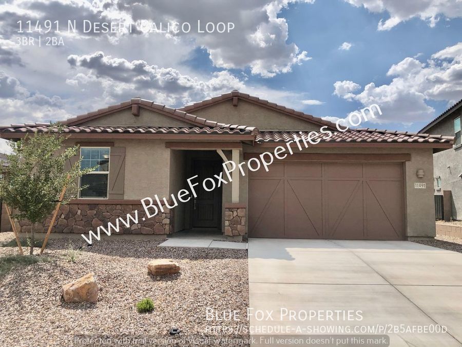 11491 N Desert Calico Loop Oro Valley, AZ House for Rent