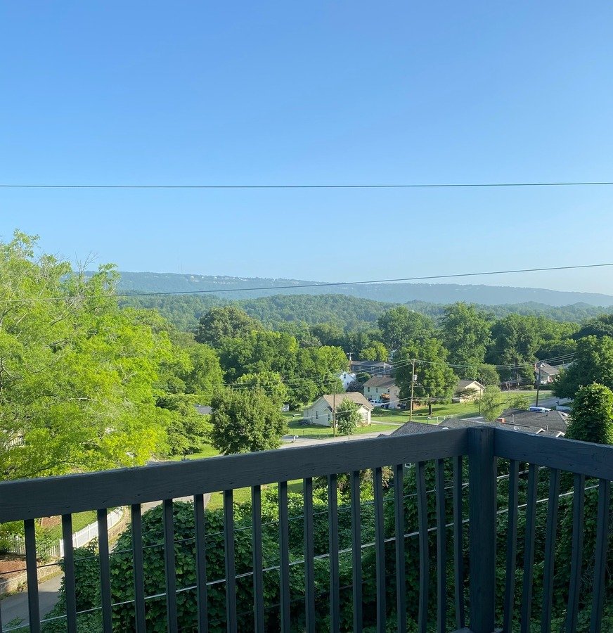 Terra at Ashley Apartments - 220 Culver St Chattanooga, TN